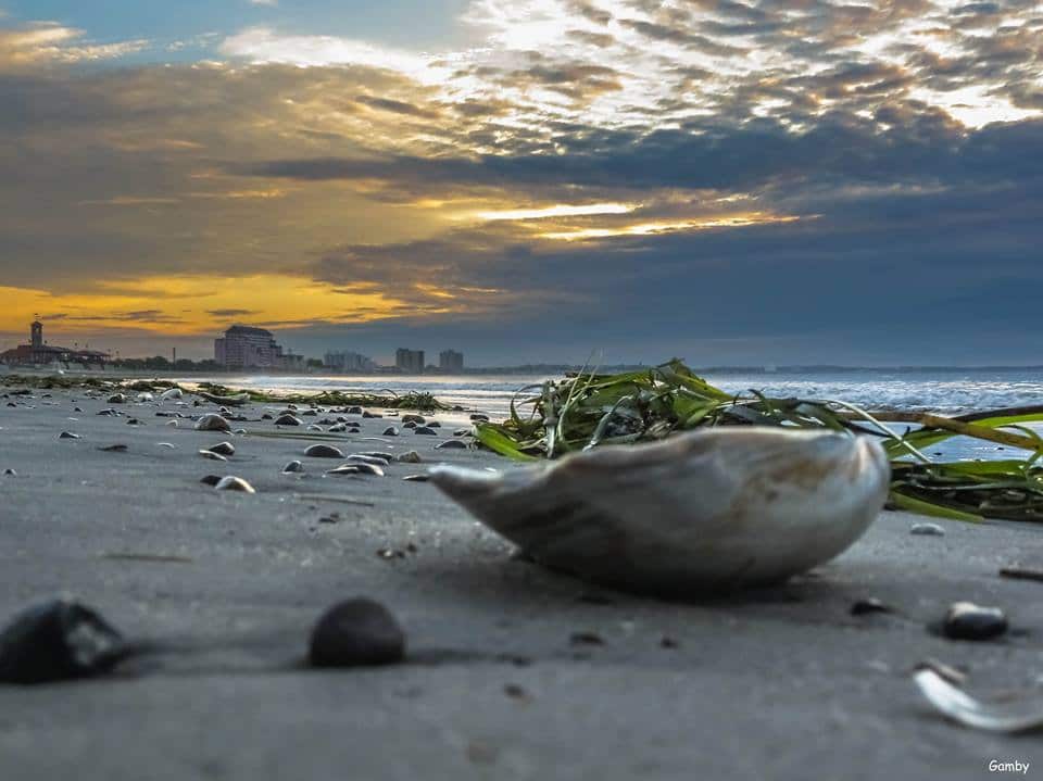 On The Beach - RevereBeach.com